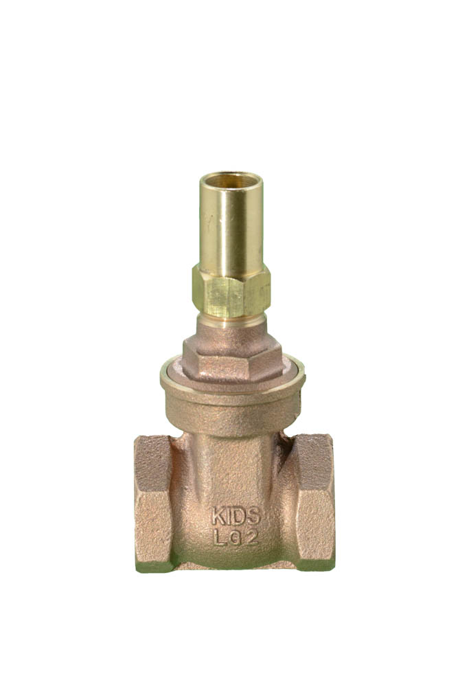 FIG. KBG20LS PN20 – KIDS VALVES